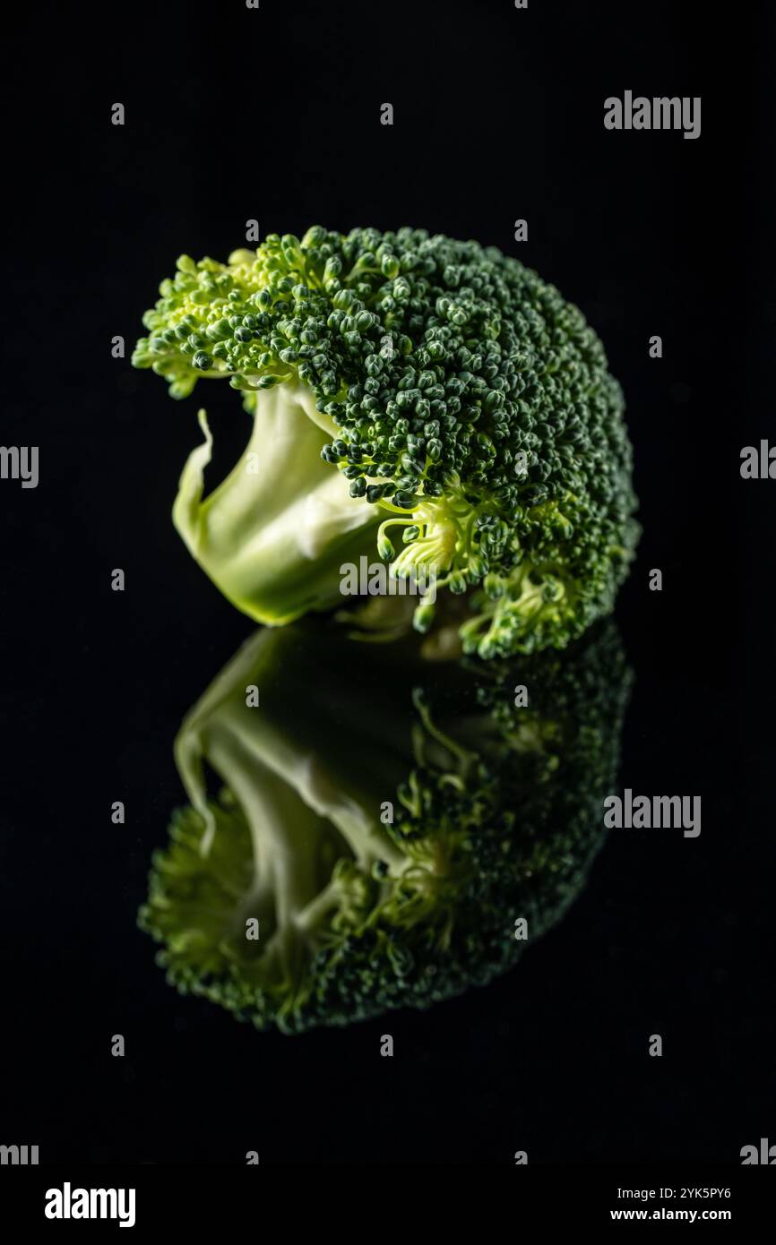 broccoli isolated on black background with reflection. portrait format ...