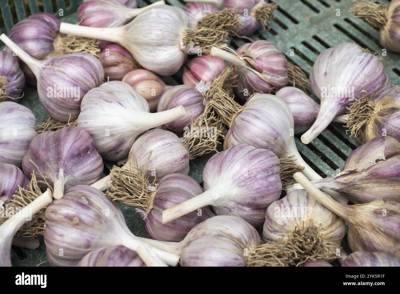 Plastic boxes vegetables hi-res stock photography and images - Alamy