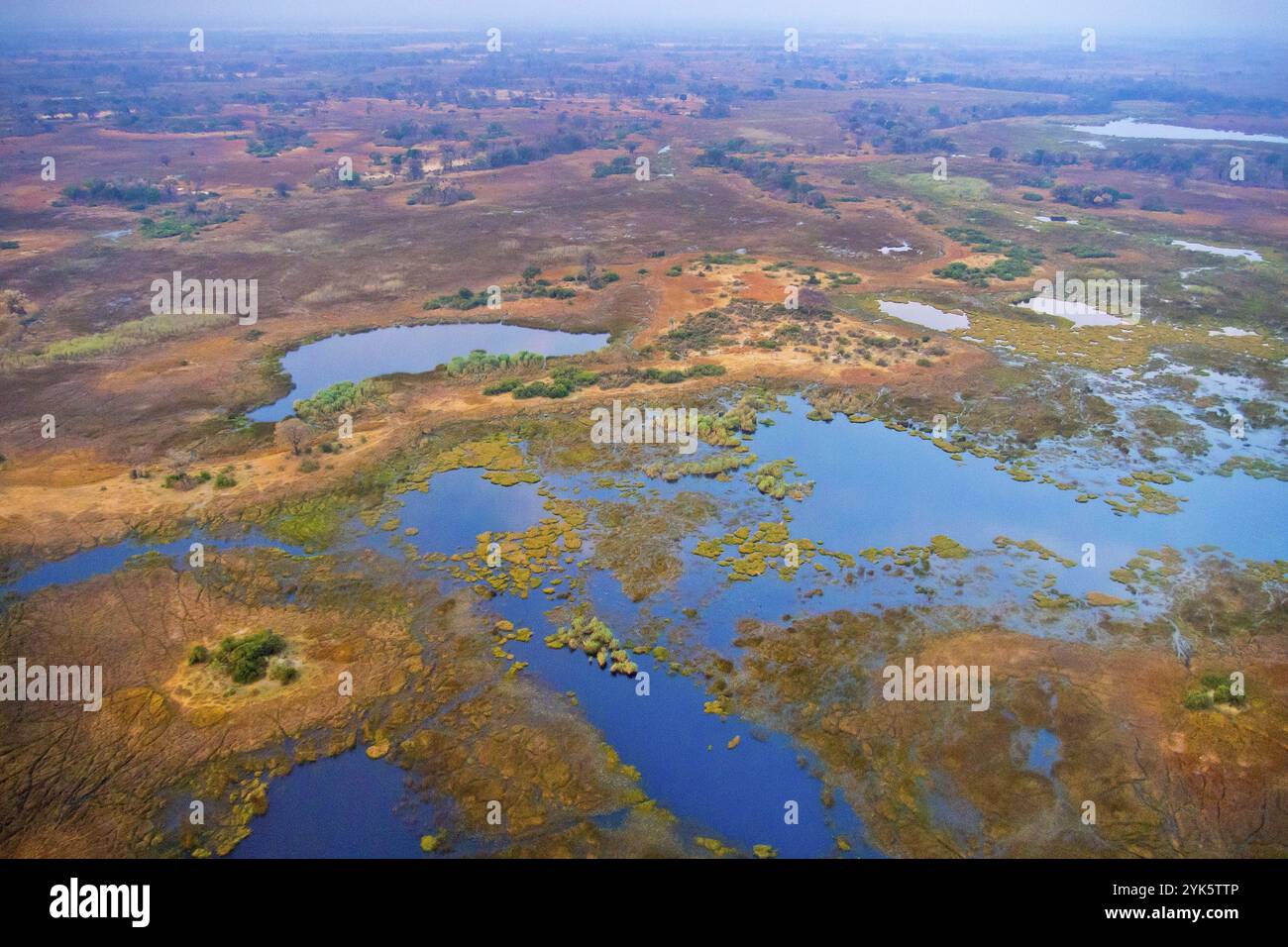 Aerial view, Okavango Wetlands, Okavango Delta, UNESCO World Heritage ...