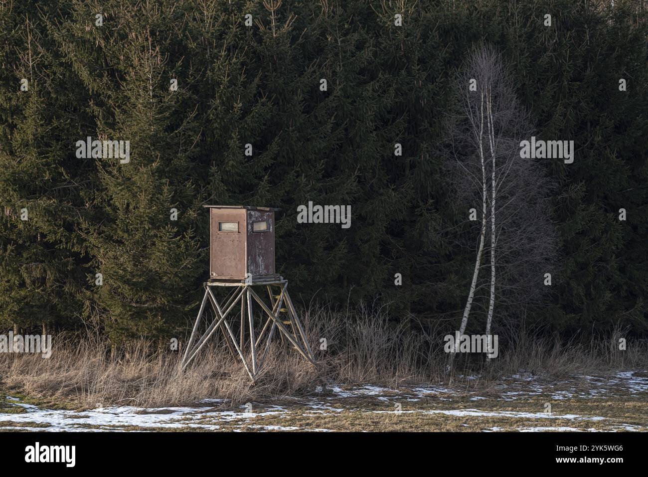 Wooden lookout tower for hunting in the woods and on meadow Stock Photo ...