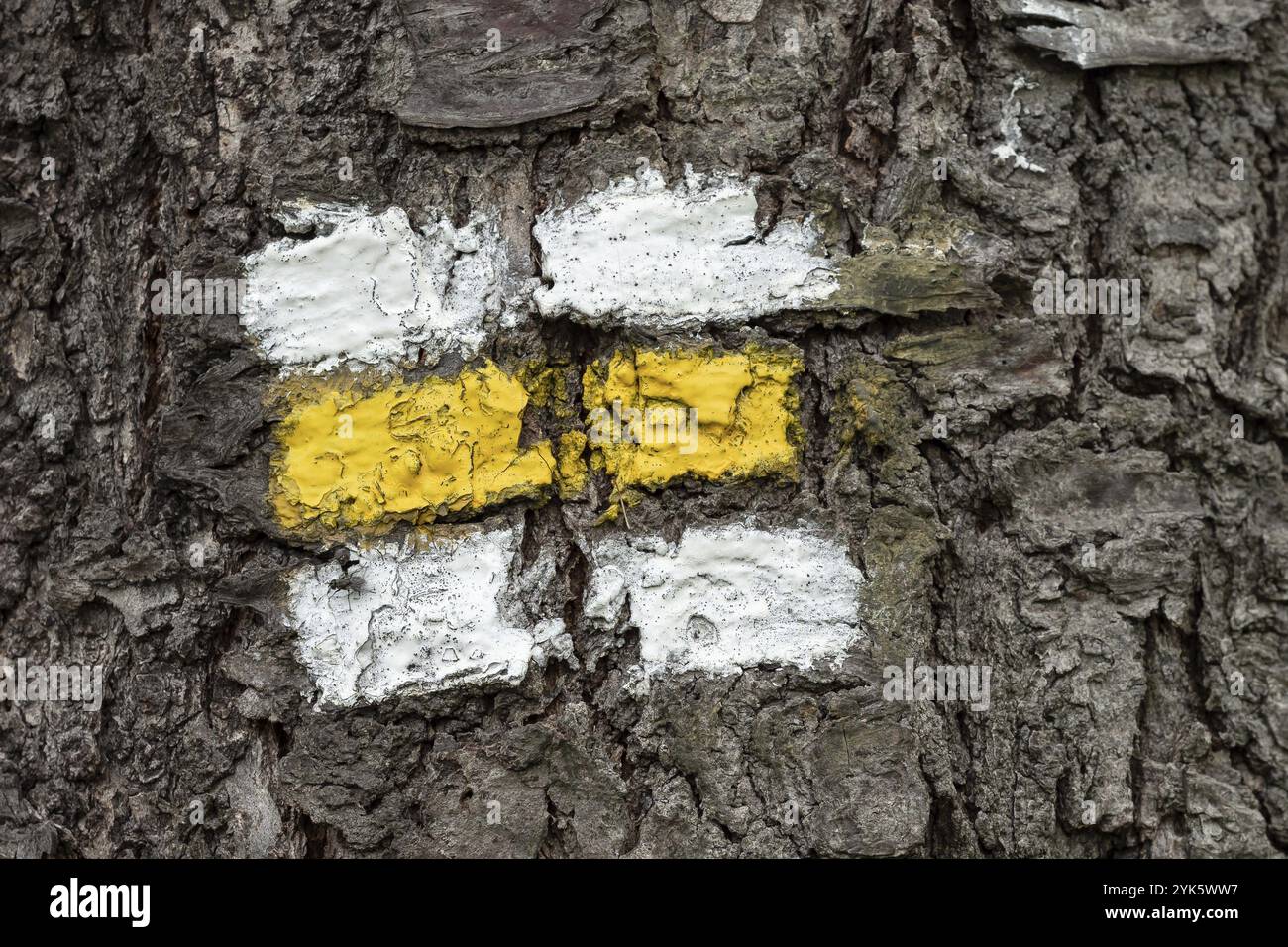 Tourist sign on the tree for a tourist trip Stock Photo - Alamy