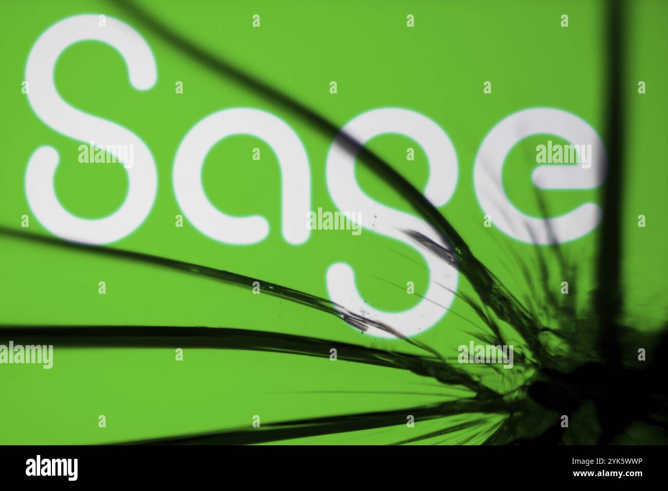 Sage plc hi-res stock photography and images - Alamy