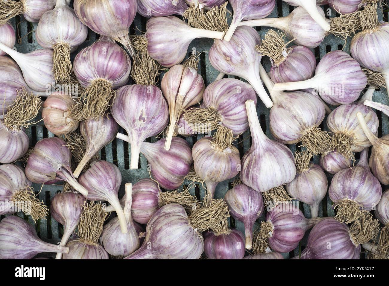 Plastic crates vegetables hi-res stock photography and images - Alamy
