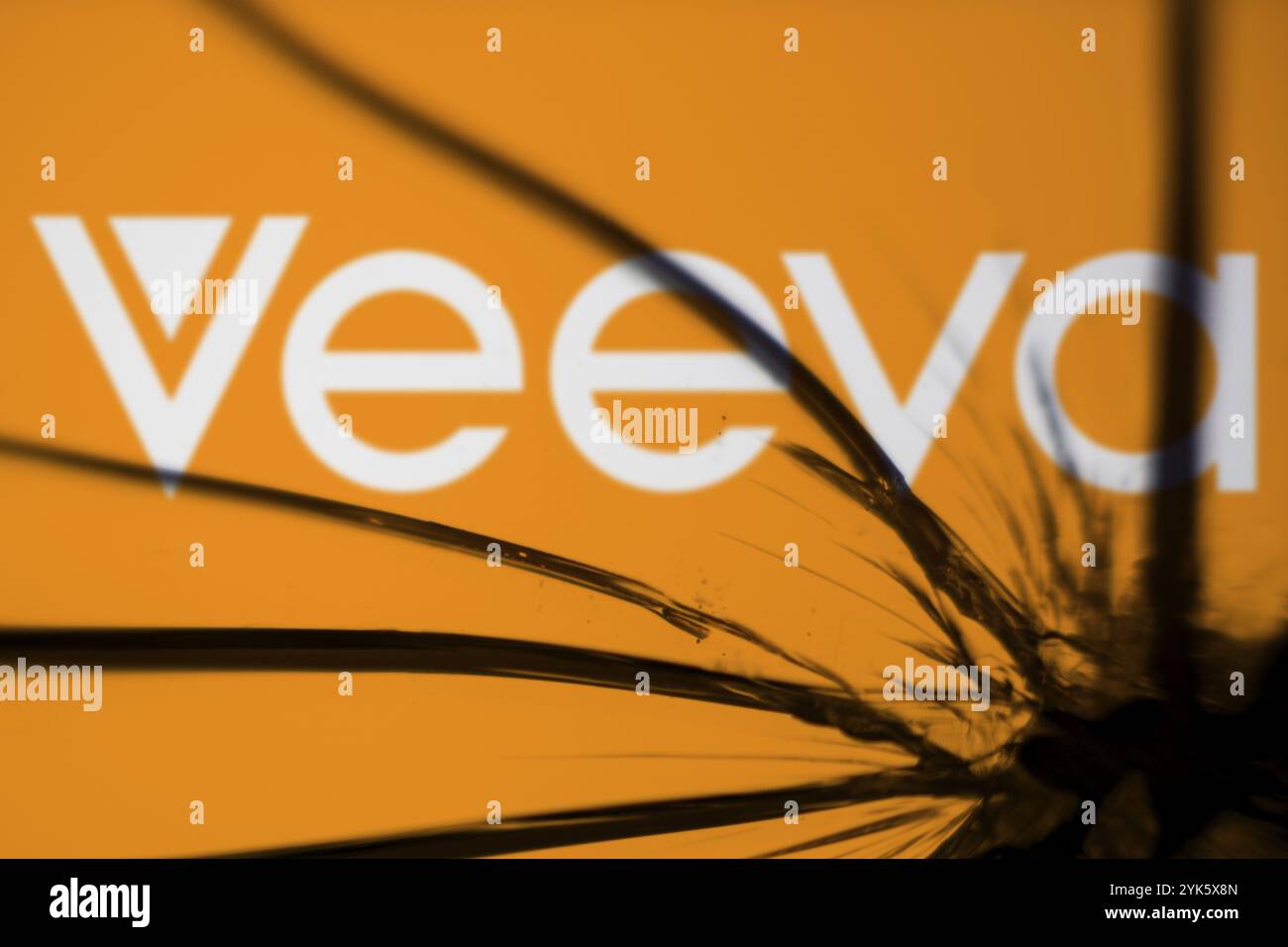 Veeva Systems logo is visible on the broekn glass. Veeva Systems Inc is ...