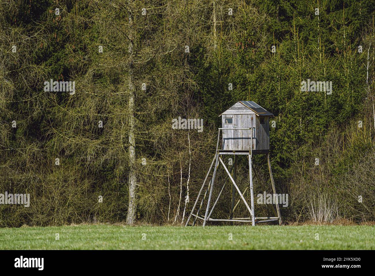Wooden lookout tower for hunting in the woods and on meadow Stock Photo ...