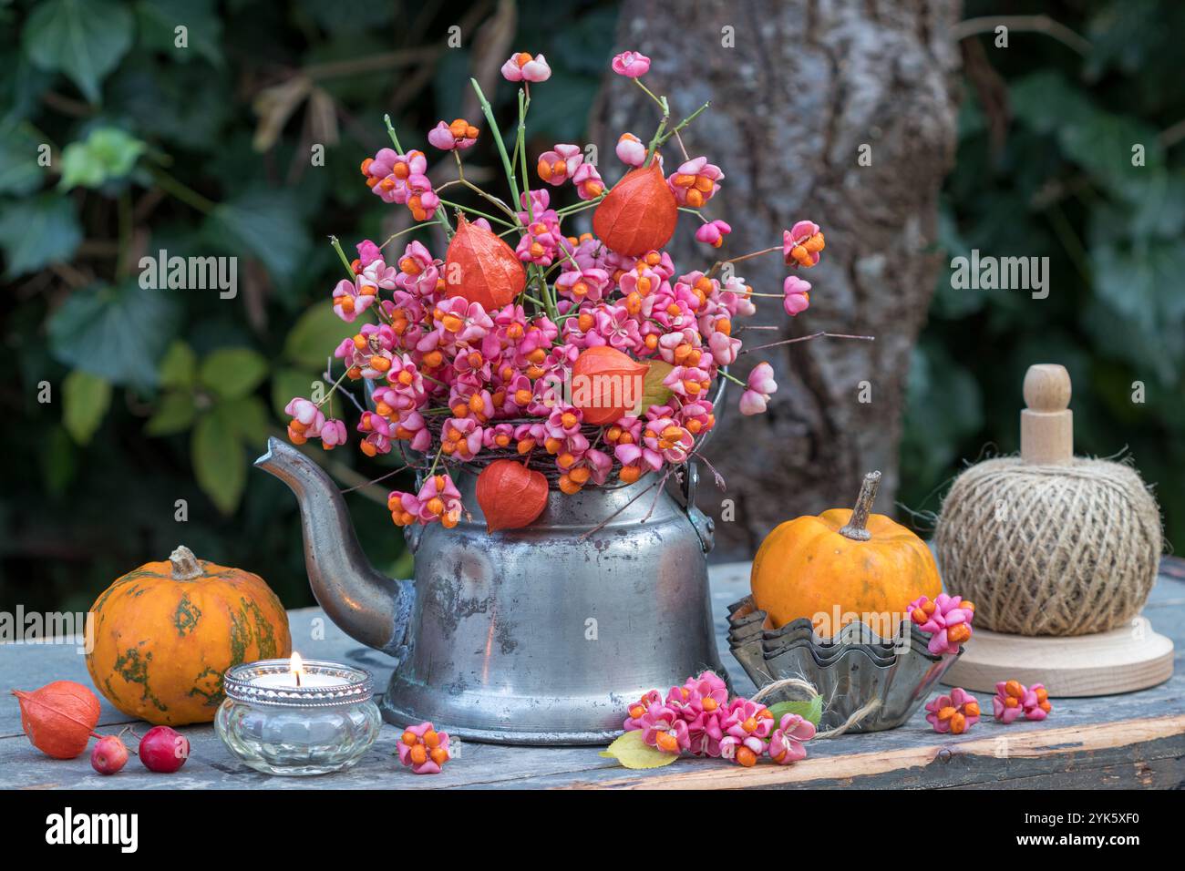 Old tree tea hi-res stock photography and images - Alamy