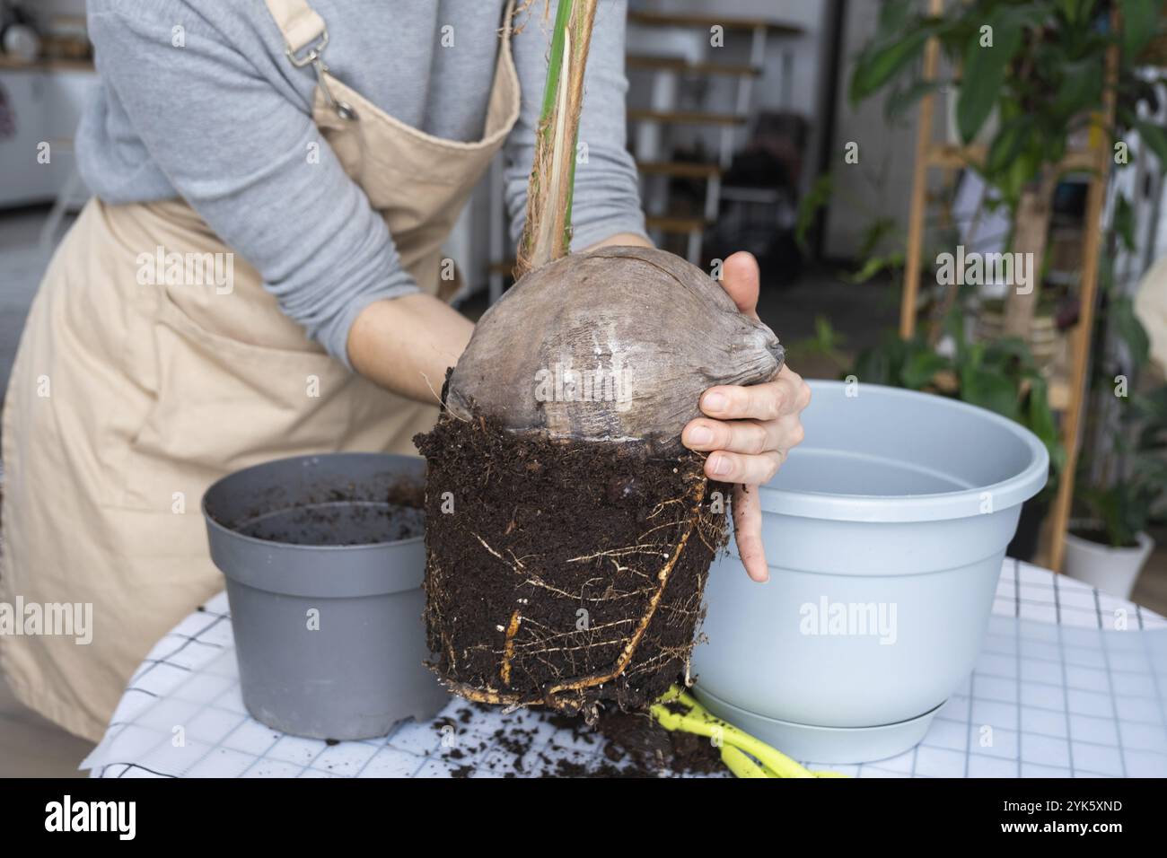 Lump of earth hi-res stock photography and images - Alamy