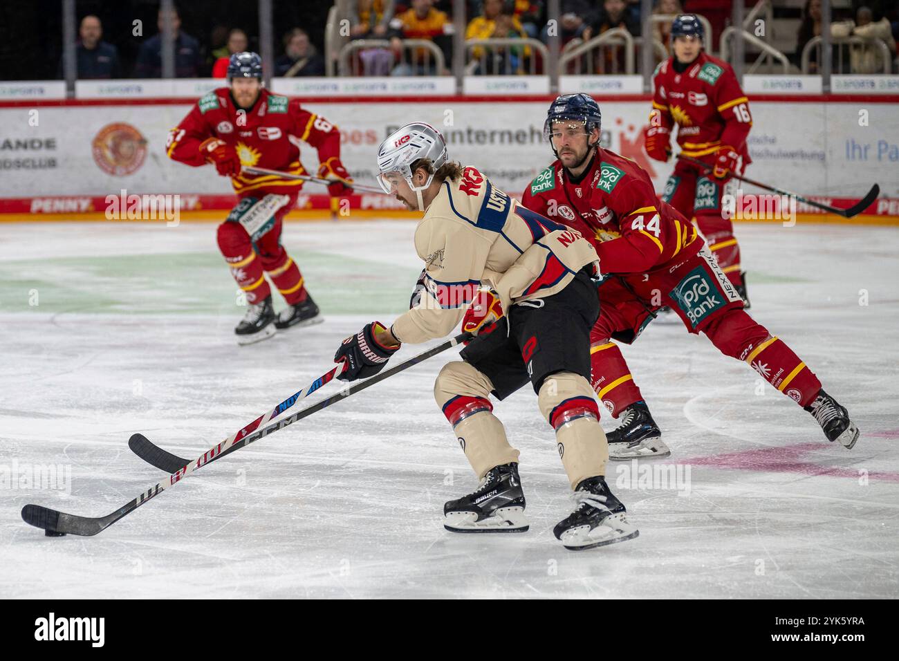 17.11.2024, Eishockey: Penny DEL, Saison 2024/2025, 17. Spieltag ...