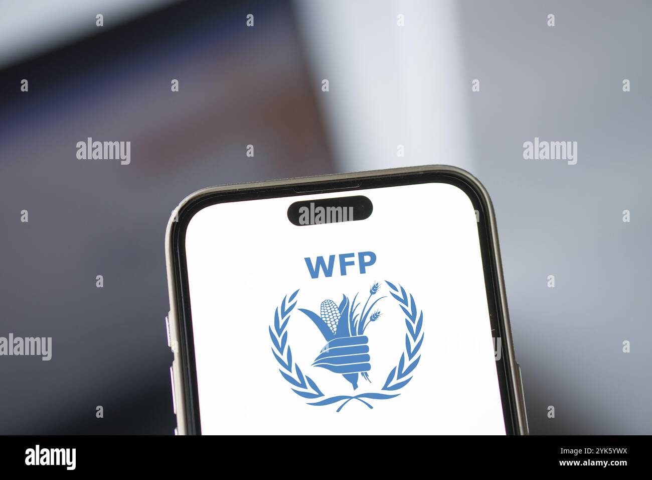 World Food Programme (WFP) logo is displayed on smartphone Stock Photo - Alamy
