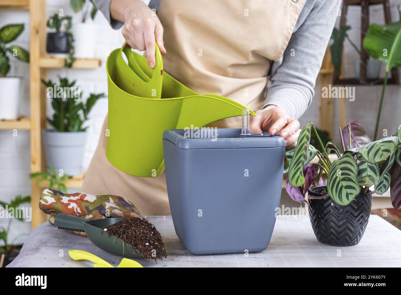 Tank assemblage plant hi-res stock photography and images - Alamy