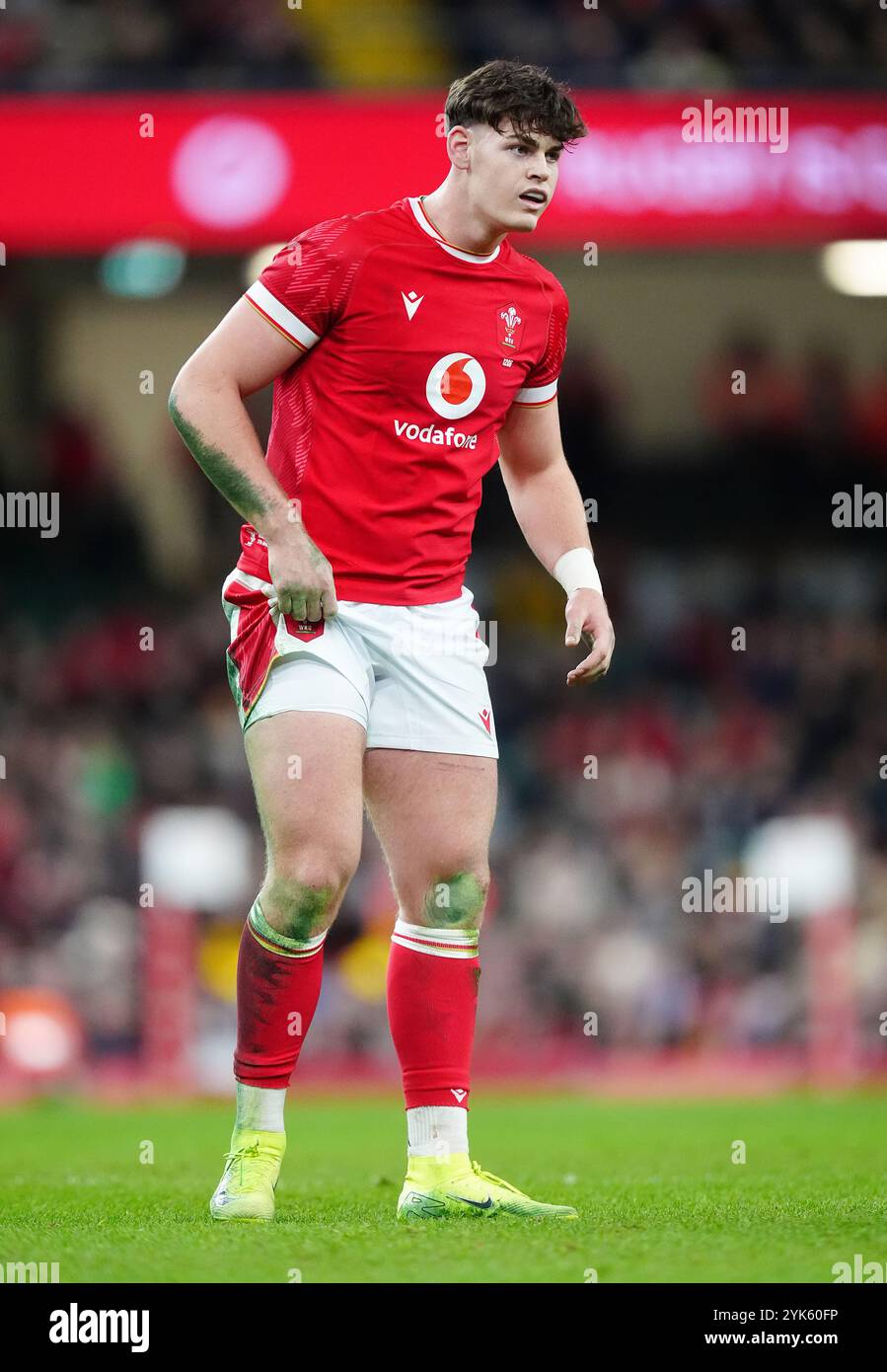 Wales' Eddie James during the Autumn International match at the ...