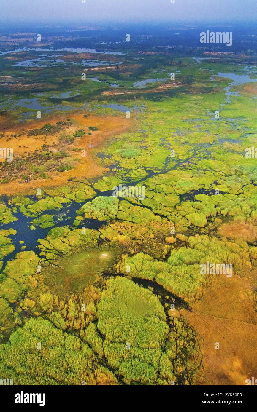 Aerial view, Okavango Wetlands, Okavango Delta, Okavango Grassland ...