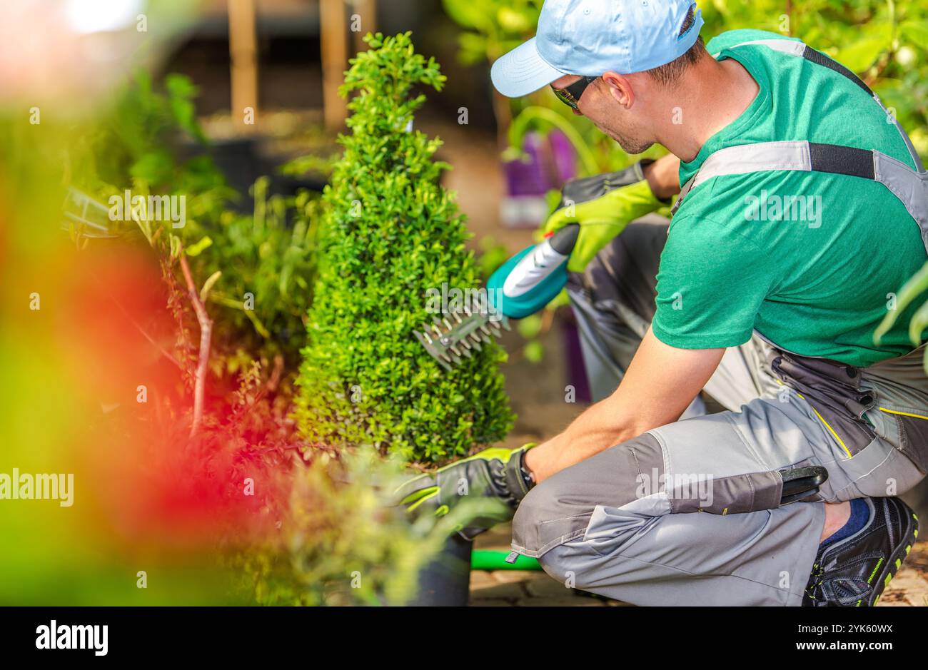 Lively plants hi-res stock photography and images - Alamy
