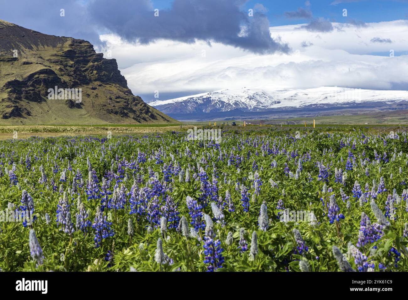 Roadside ring road, Iceland, Europe Stock Photo - Alamy