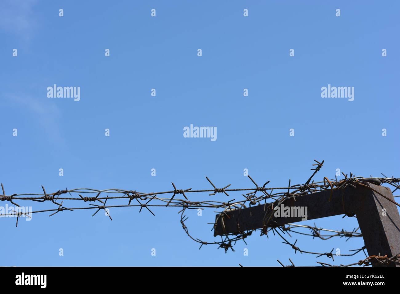 Old metal, red wire with metal pins, sharp ends against thieves is ...