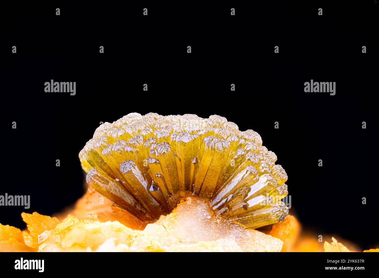 Mimetite on Baryte. Specimen from Mas Dieu, Laval-Pradel, France. Micro ...