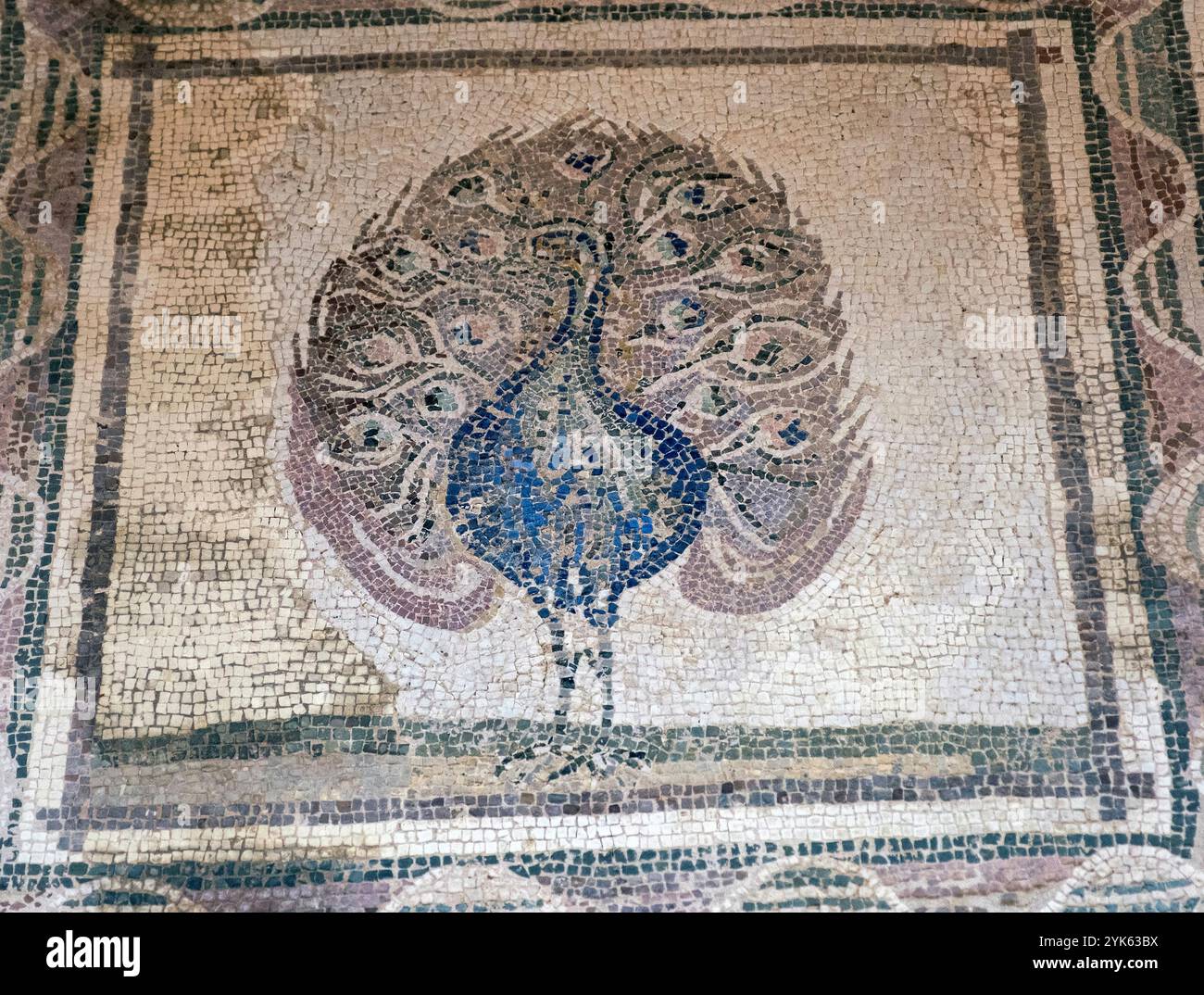 Roman mosaic showing a peacock in the House of Dionysus, Paphos ...