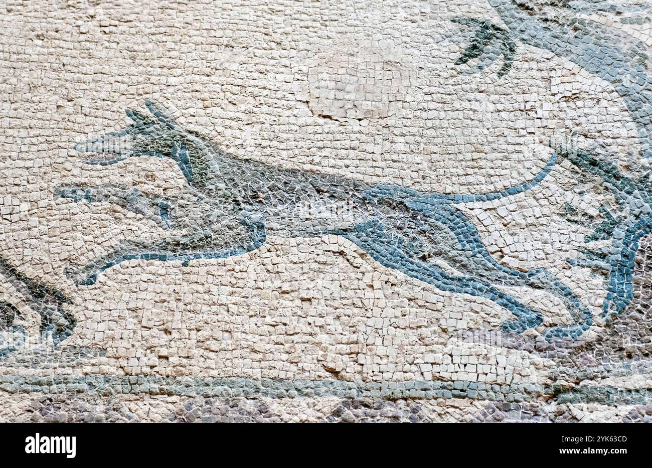 A hunting scene mosaic showing a hunting dog in the House of Dionysus ...