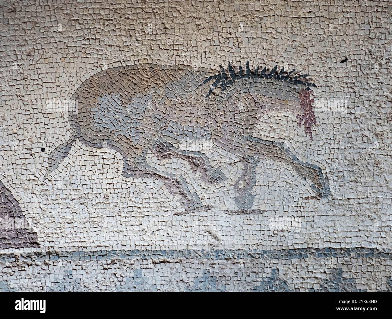 Mosaic depicting a running horse, House of Dionysus, the Eastern ...