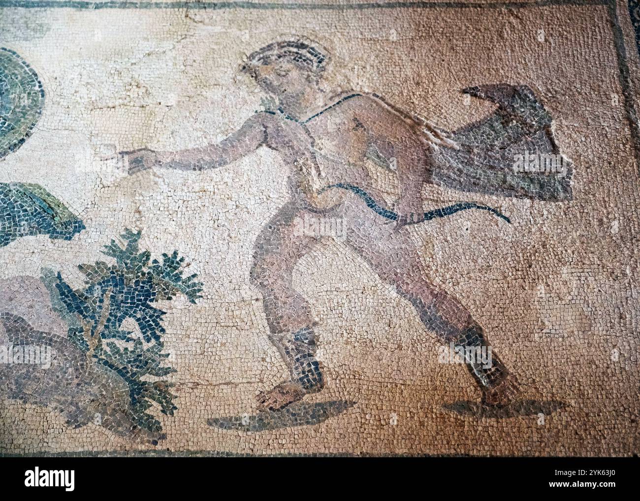 Roman floor mosaic "Apollo and Daphne", House of Dionysus, Paphos ...