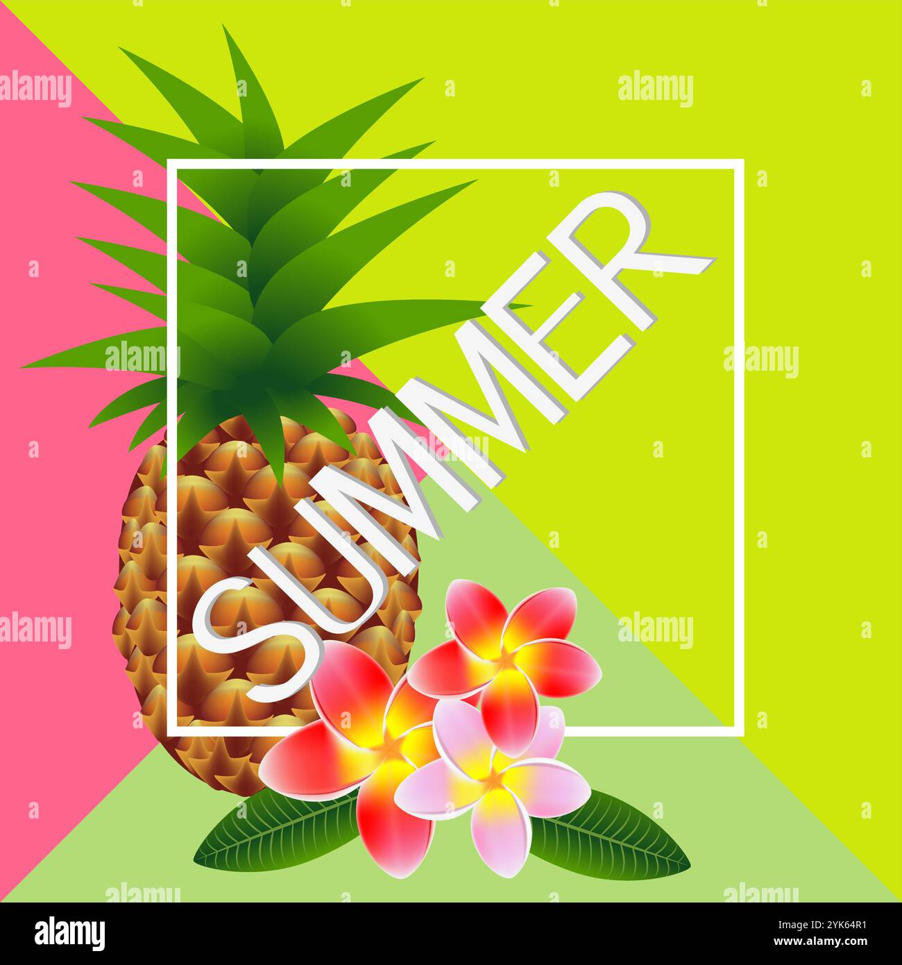 Summer banner, flowers frangipani (Plumeria) with pineapple Stock ...
