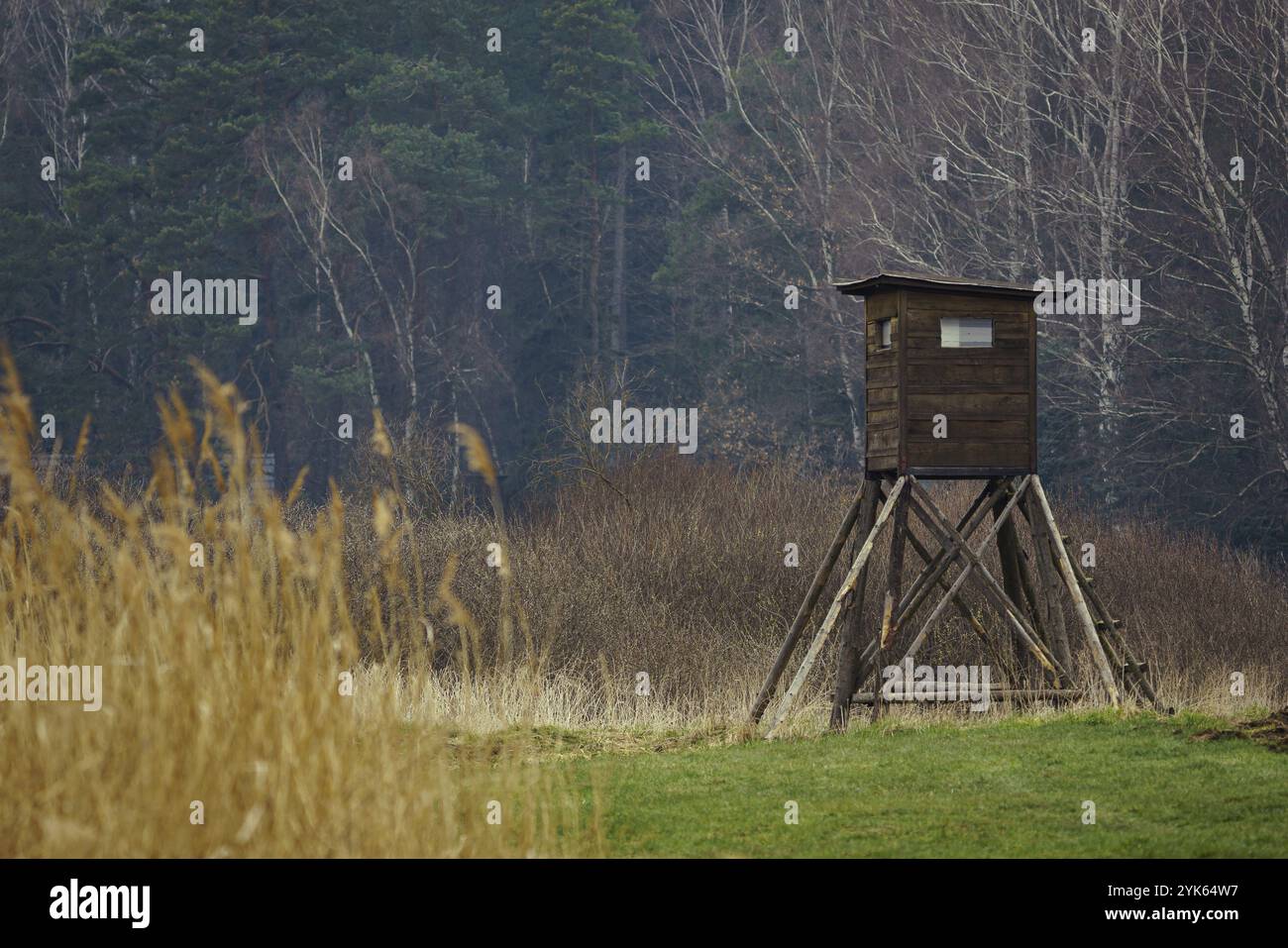 Wooden lookout tower for hunting in the woods and on meadow Stock Photo ...