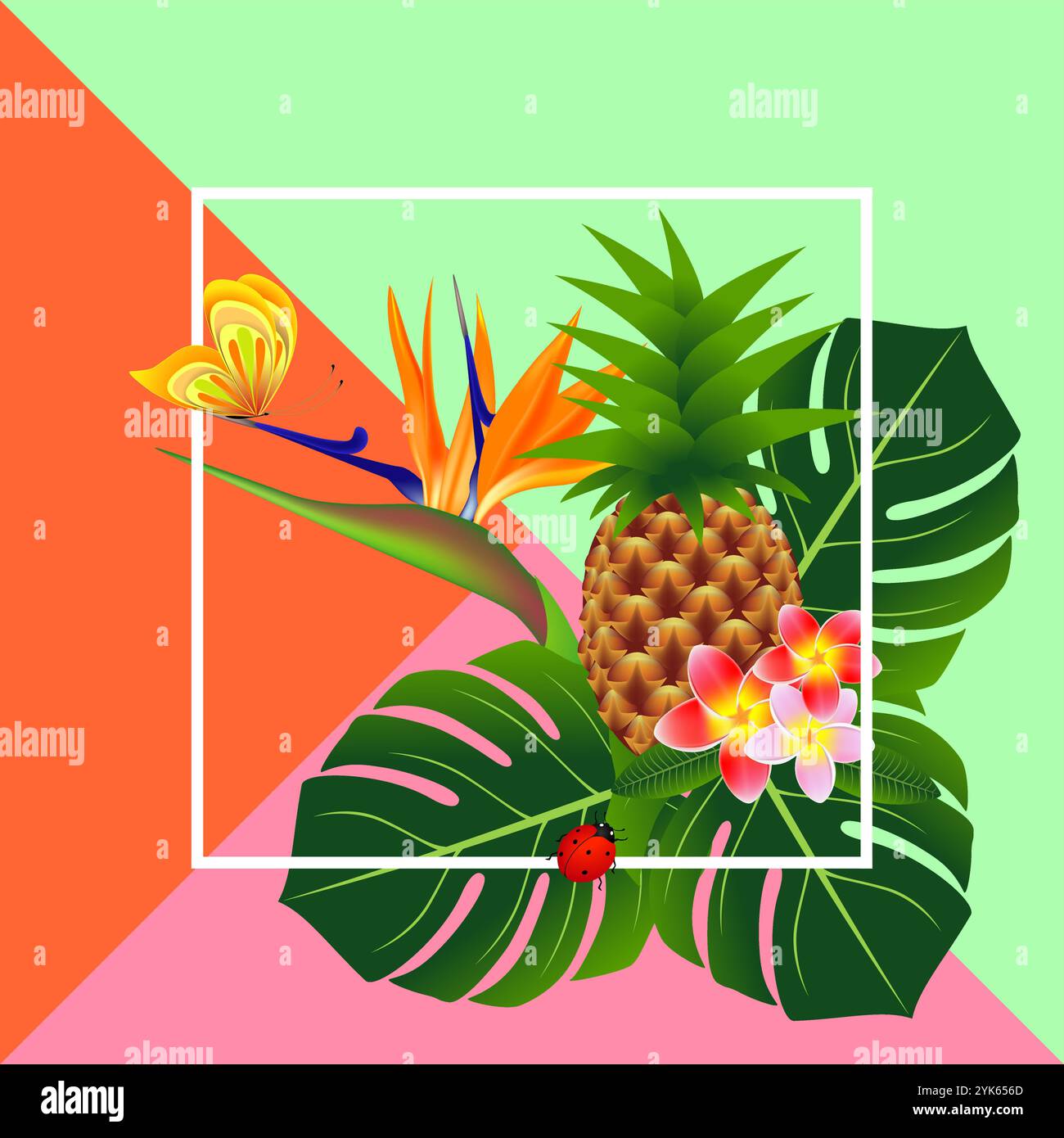 Tropical summer banner Stock Vector Image & Art - Alamy