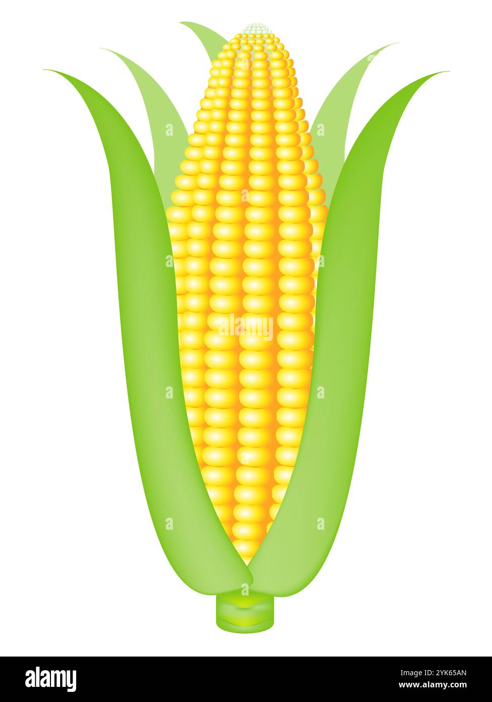 Cartoon corn golden maize harvest Cut Out Stock Images & Pictures - Alamy