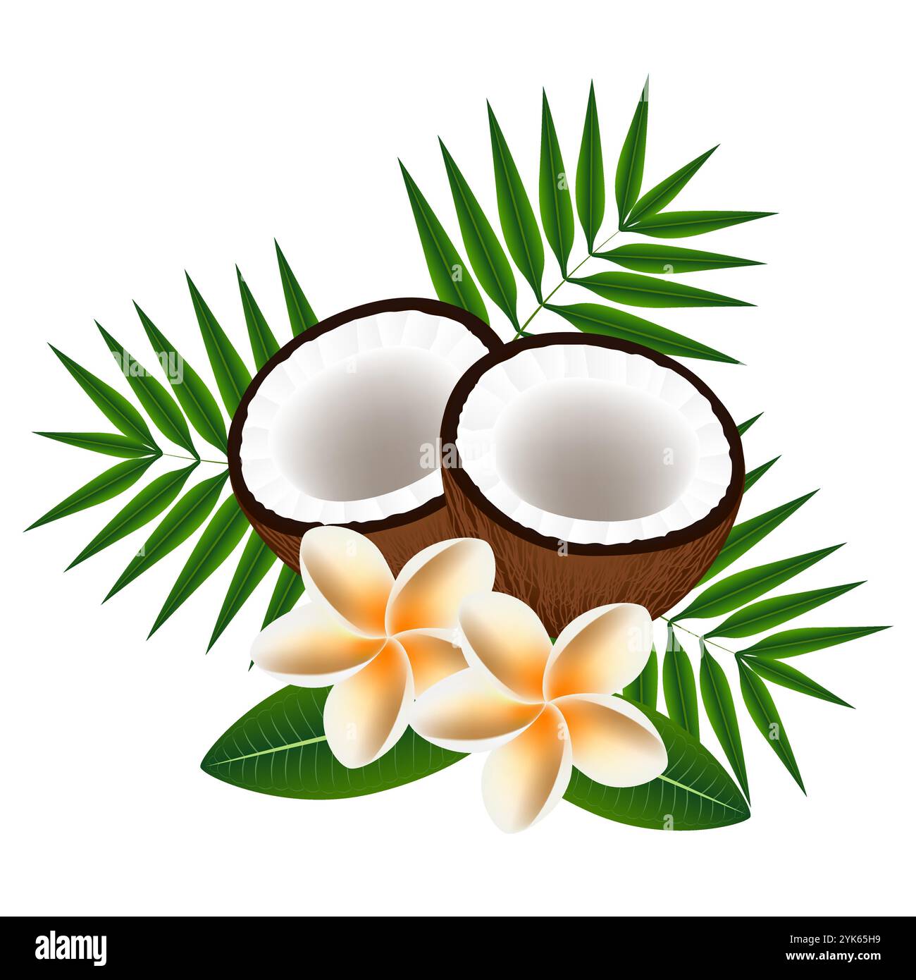 Frangipani arrangement Stock Vector Images - Alamy