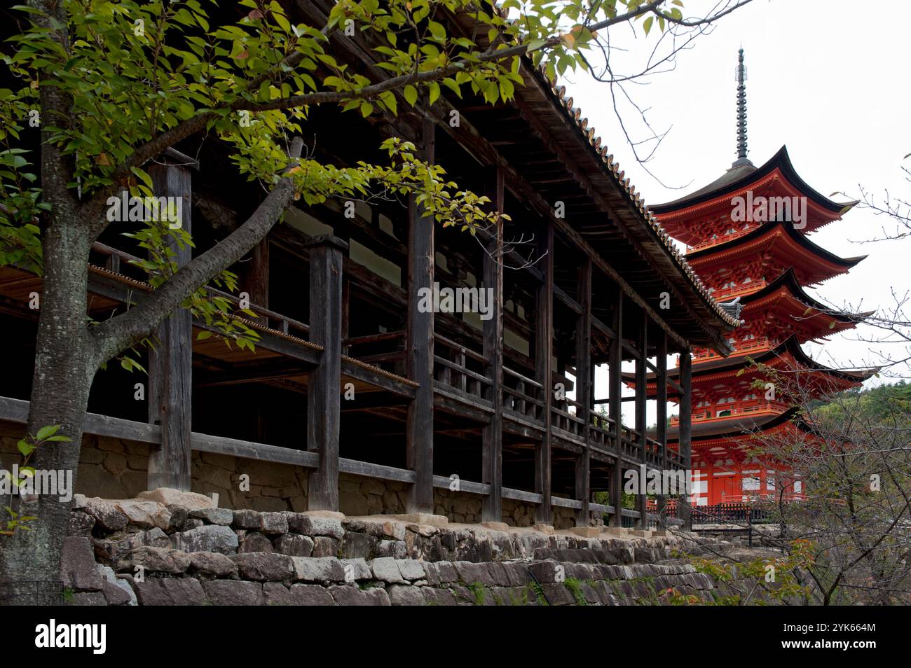 Hokokujinja Senjokaku Pavilion and Itsukushima 5-Story pagoda on ...