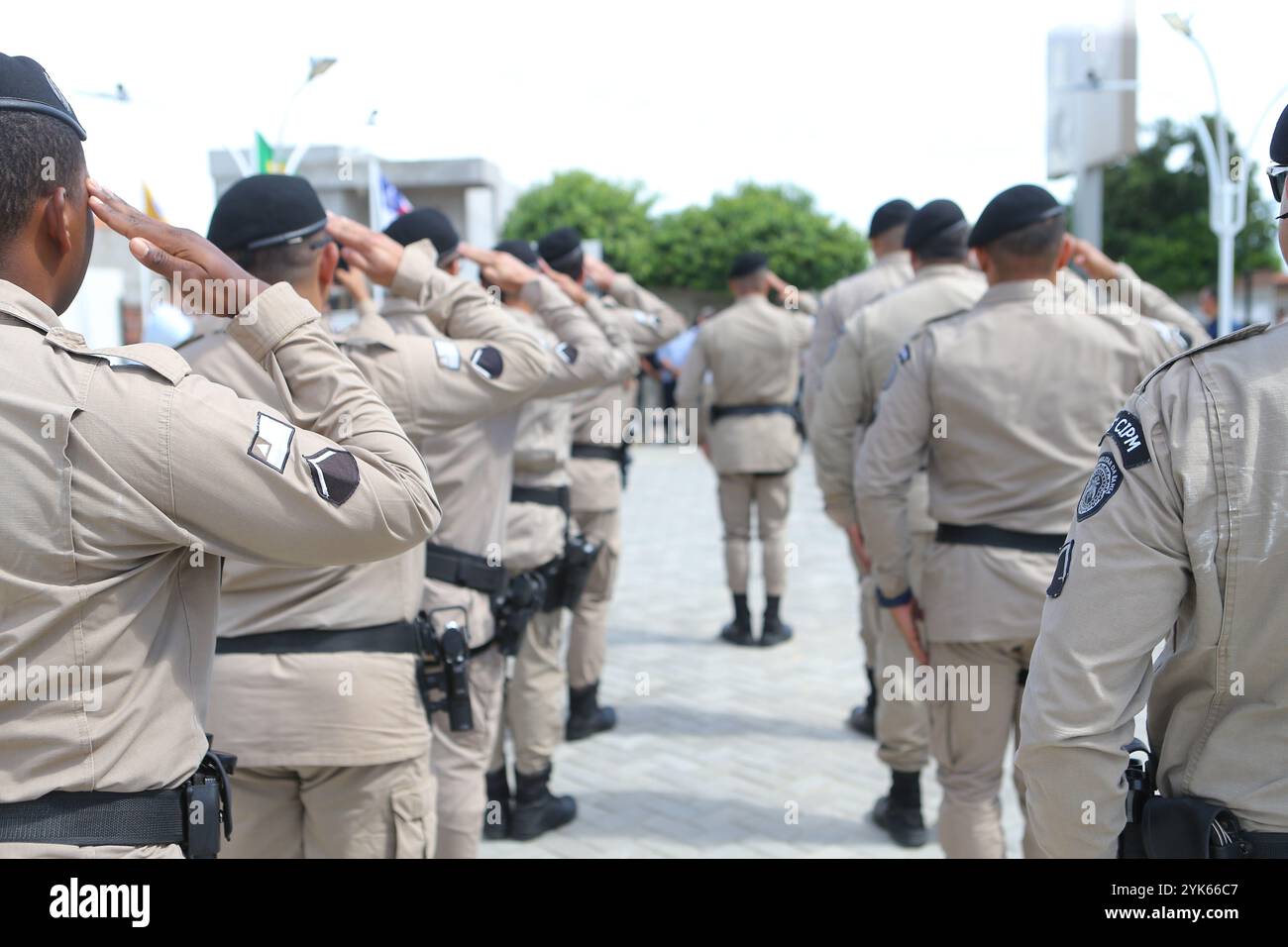 Jpilao arcado, bahia, brazil - november 13, 2024: platoon of the ...
