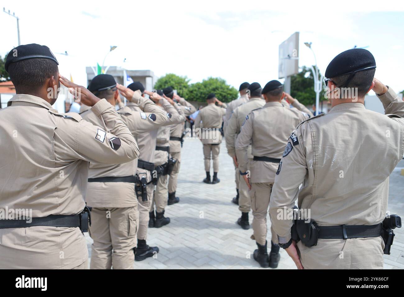 Jpilao arcado, bahia, brazil - november 13, 2024: platoon of the ...