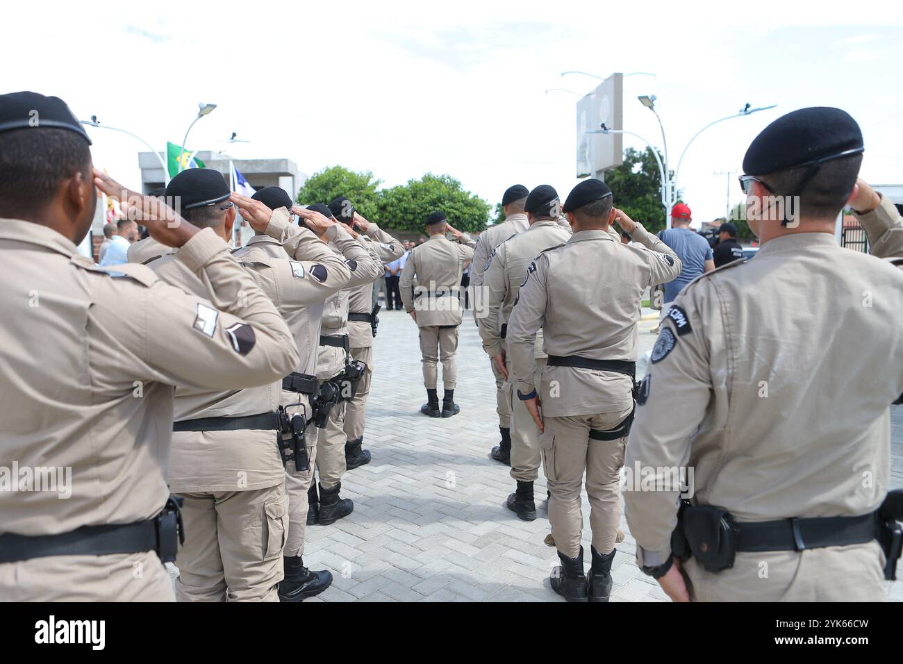 Jpilao arcado, bahia, brazil - november 13, 2024: platoon of the ...