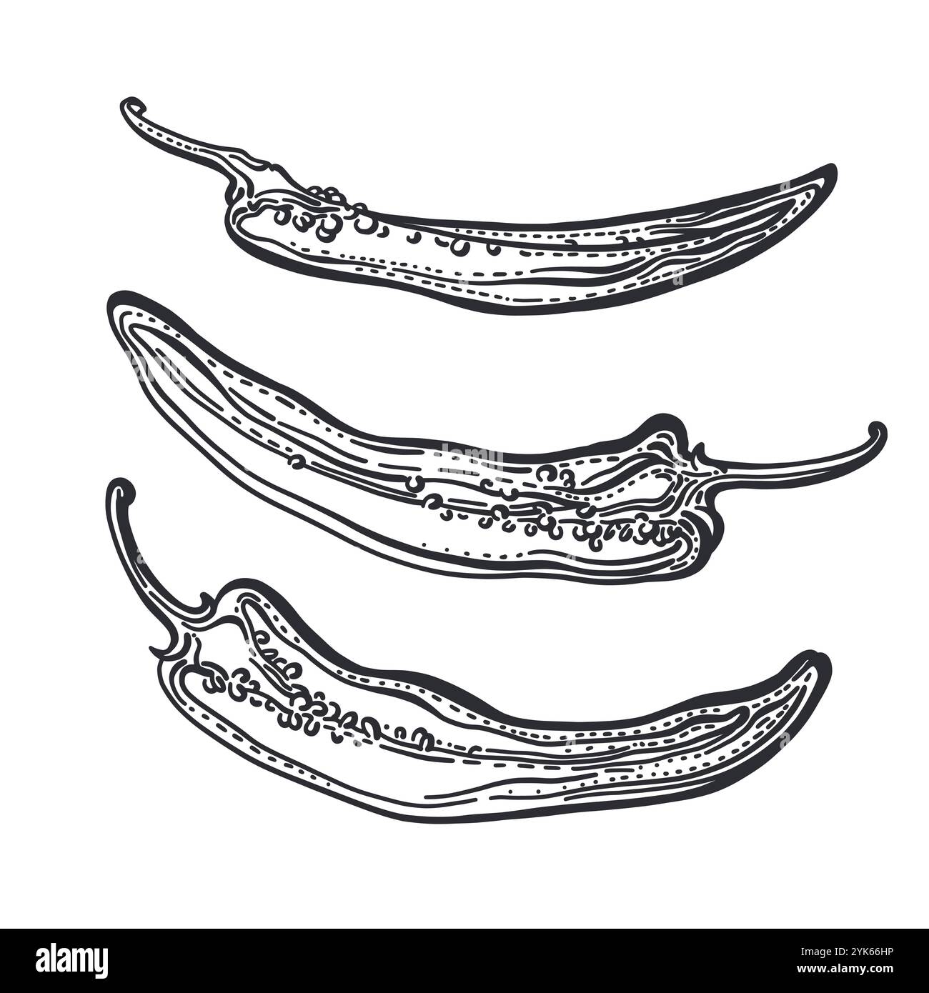 Cayenne pepper engraving hi-res stock photography and images - Alamy