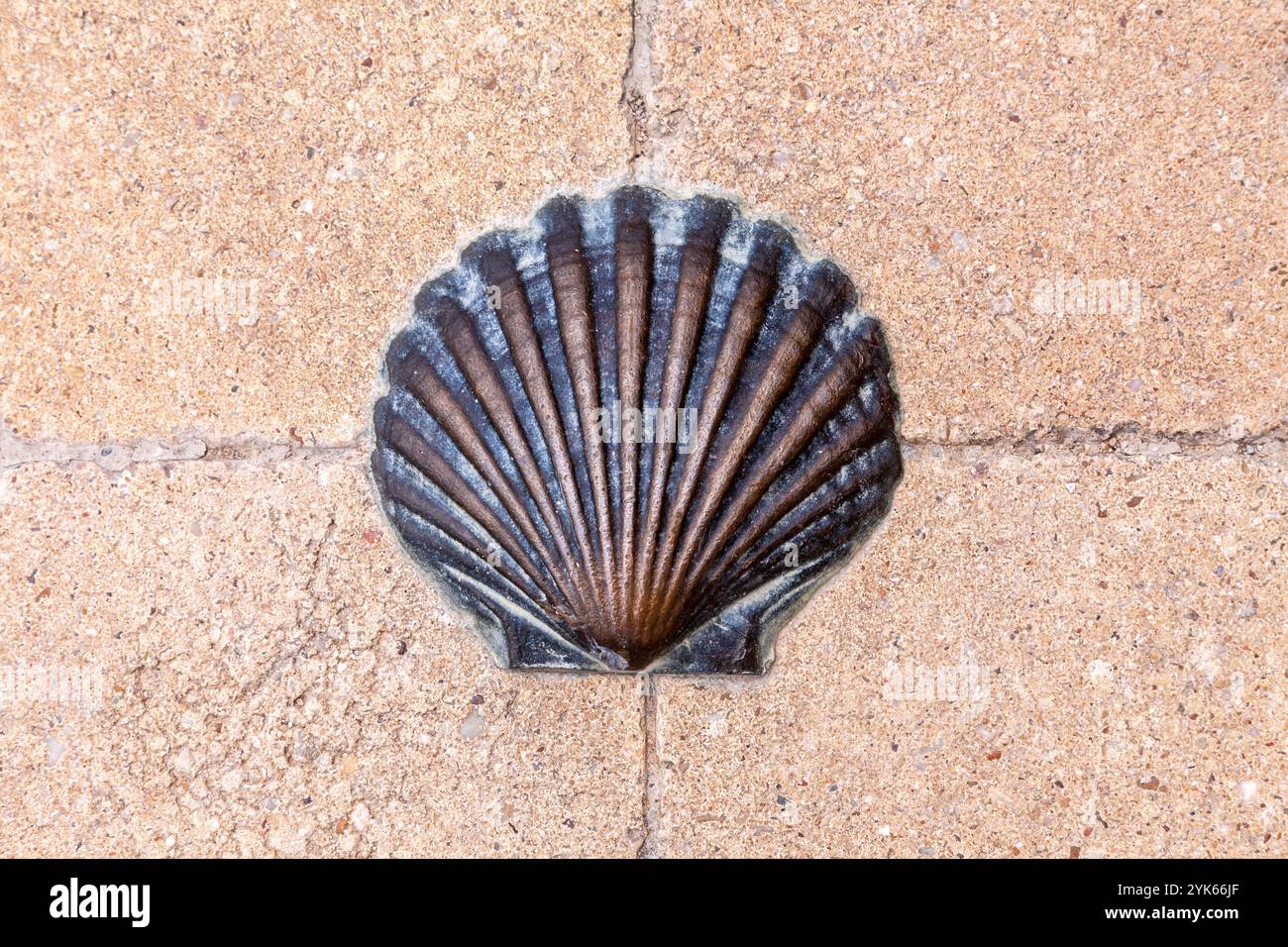 This bronze shell is set into a stone pathway, marking a trail at a ...