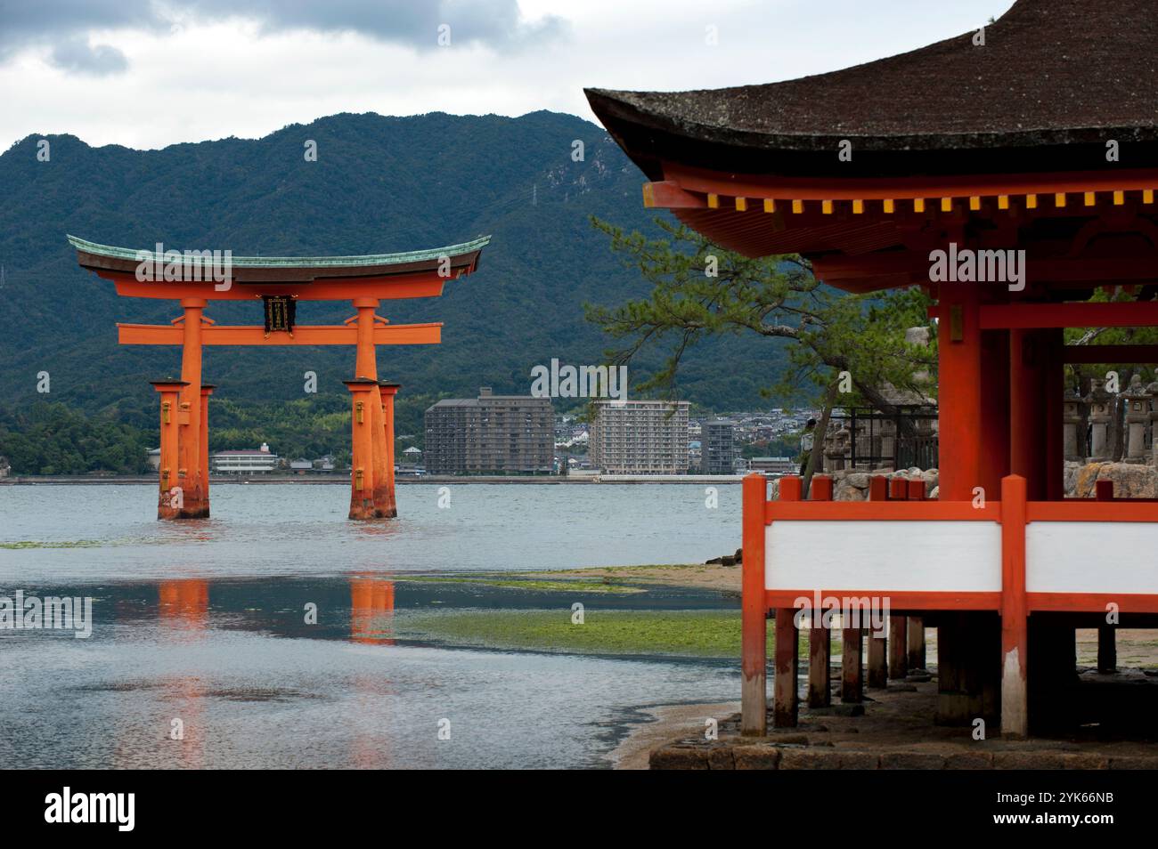 Famous floating torii shrine gate at Itsukushima Jinja Shinto shrine on ...