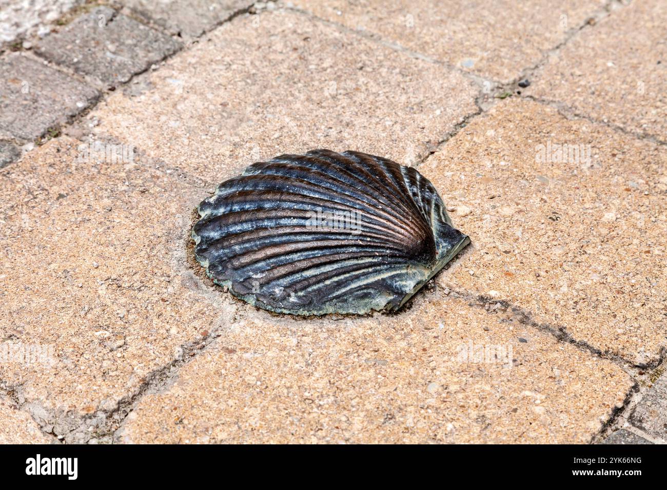 This bronze shell is set into a stone pathway, marking a trail at a ...