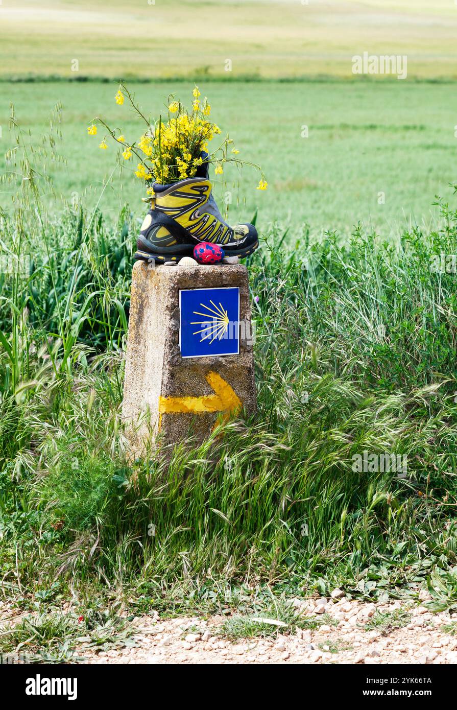 A stone marker adorned with a shell symbol stands along the Camino de ...