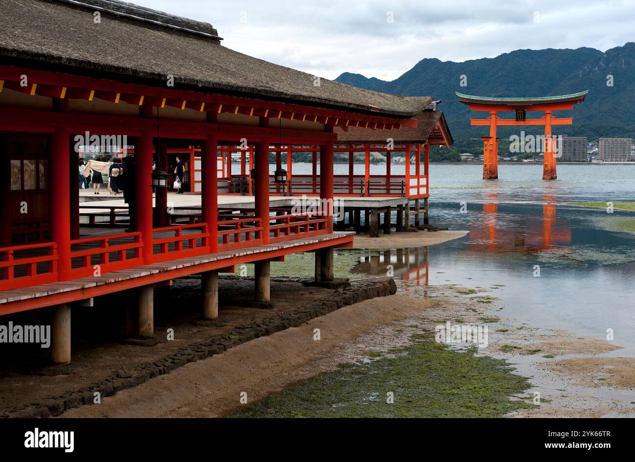 Famous floating torii shrine gate at Itsukushima Jinja Shinto shrine on ...