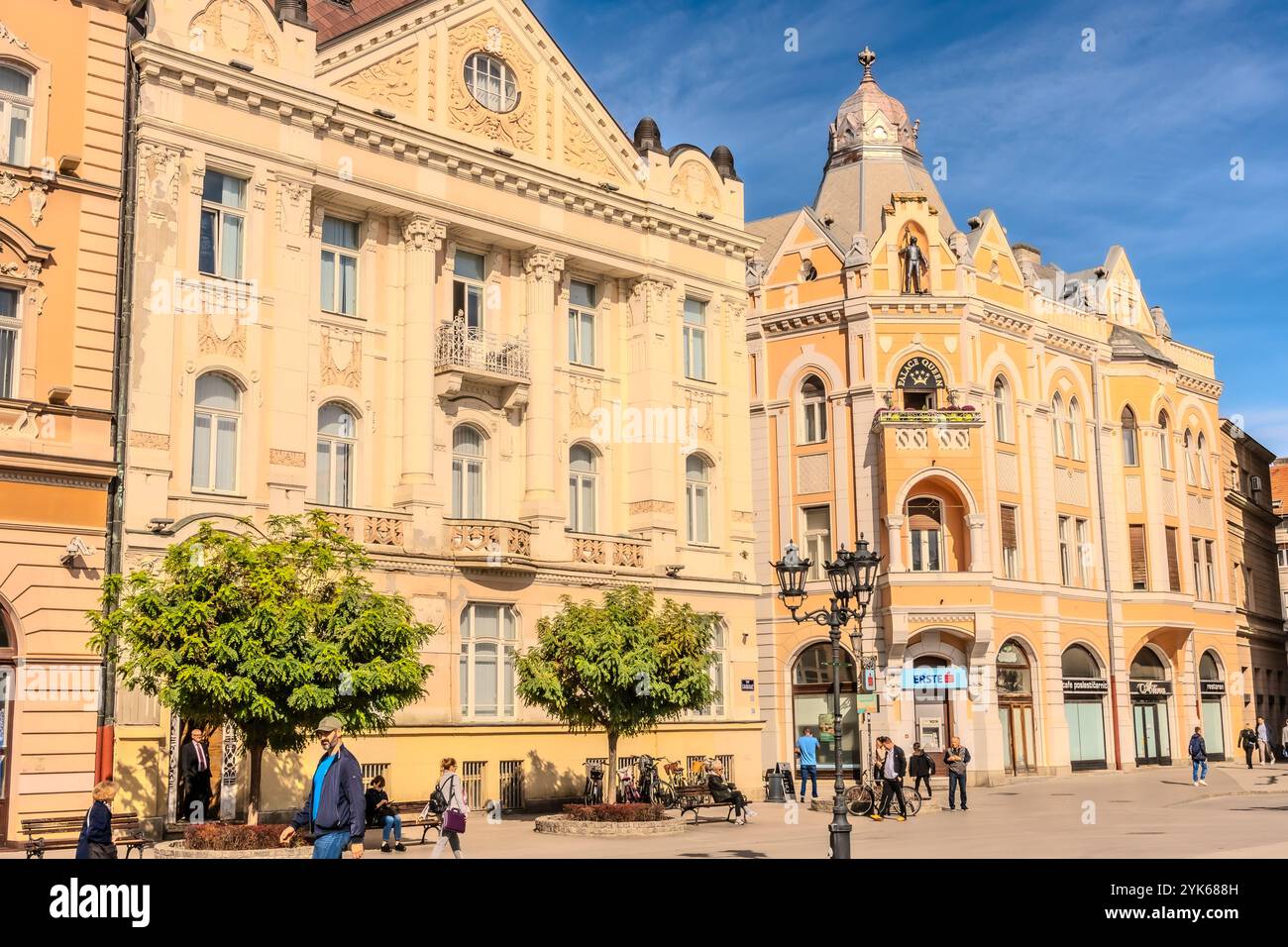 A panoramic city view of Novi Sad with its iconic bridge over the ...