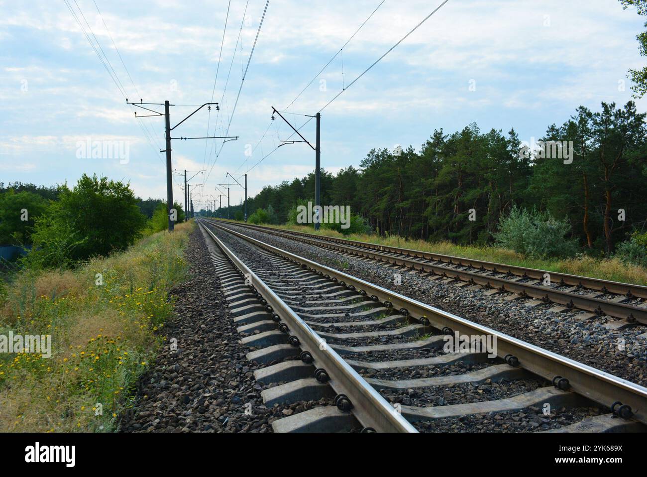 Metal wide flights along the entire field with trees. Ukrainian railway ...