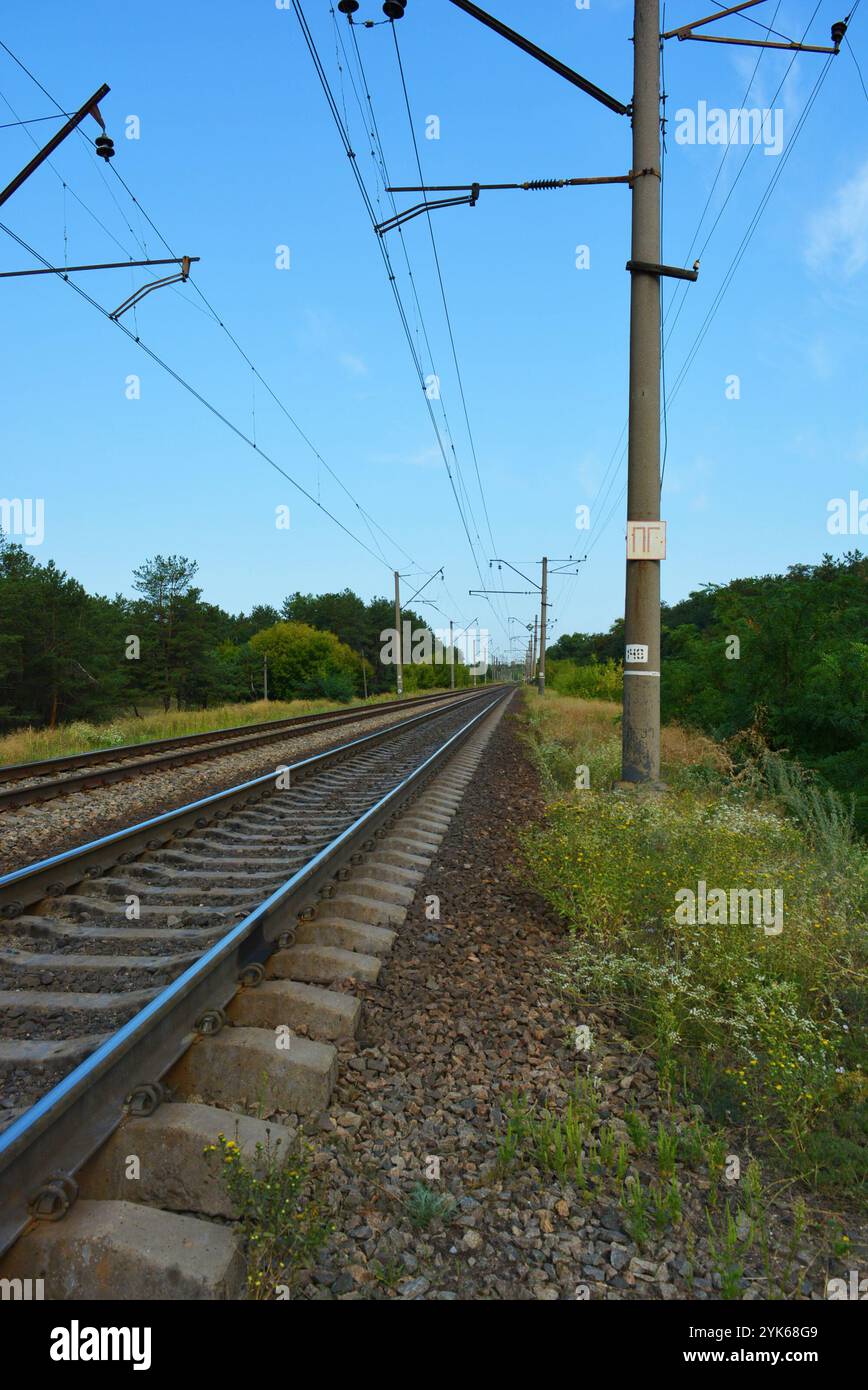 Metal wide flights along the entire field with trees. Ukrainian railway ...
