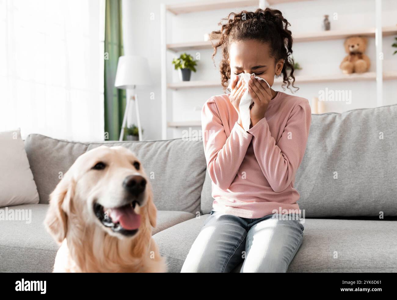 Animal Allergy. African American girl sneezing, suffering from nasal ...