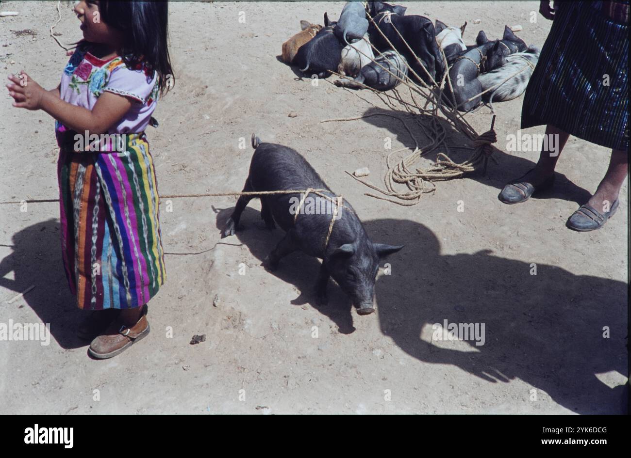mexico Mexiko, 20230101, Aufnahme ca. 1970, Bauern auf dem Markt ...