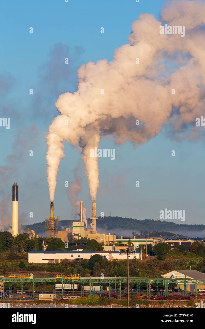 Brunswick pulp mill hi-res stock photography and images - Alamy