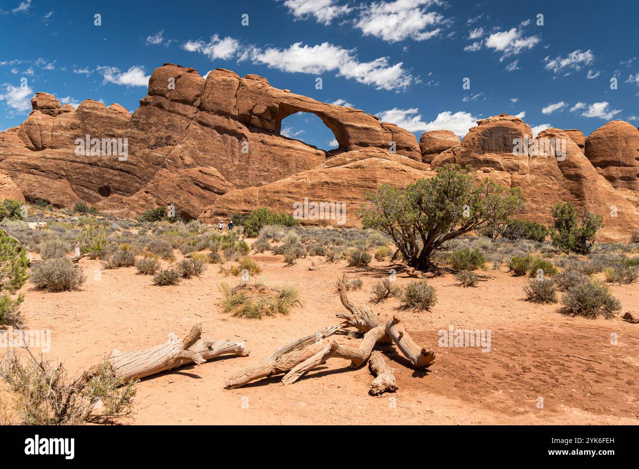 Panoramic view skyline arch hi-res stock photography and images - Alamy