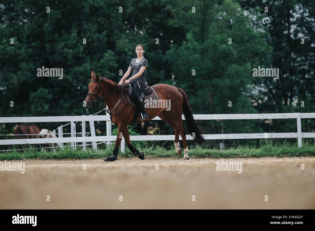 Young woman riding brown horse in an outdoor equestrian arena ...