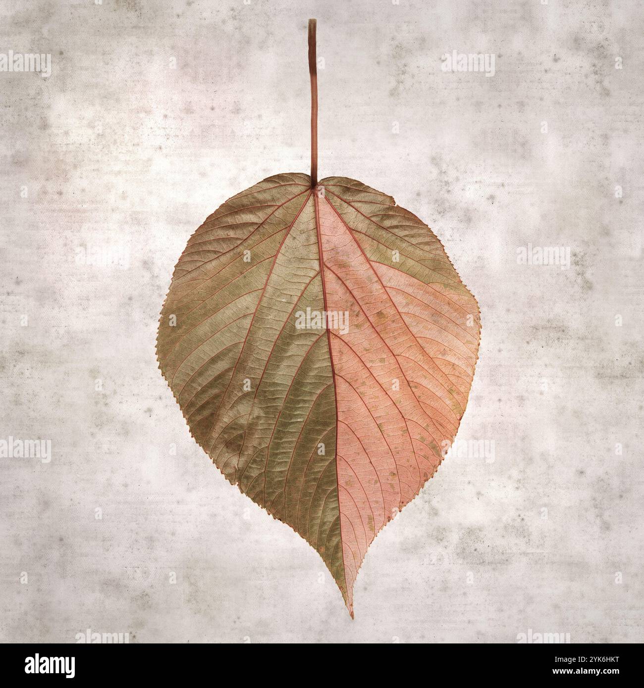stylish square textured old paper background with Colorful leaf of ...