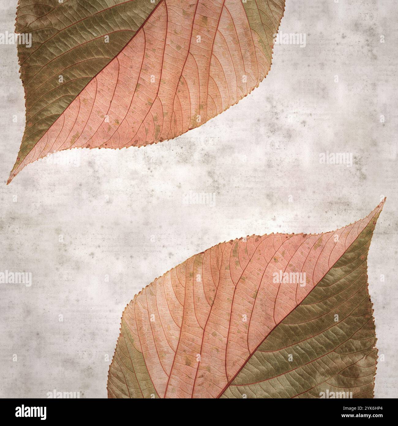 stylish square textured old paper background with Colorful leaf of ...