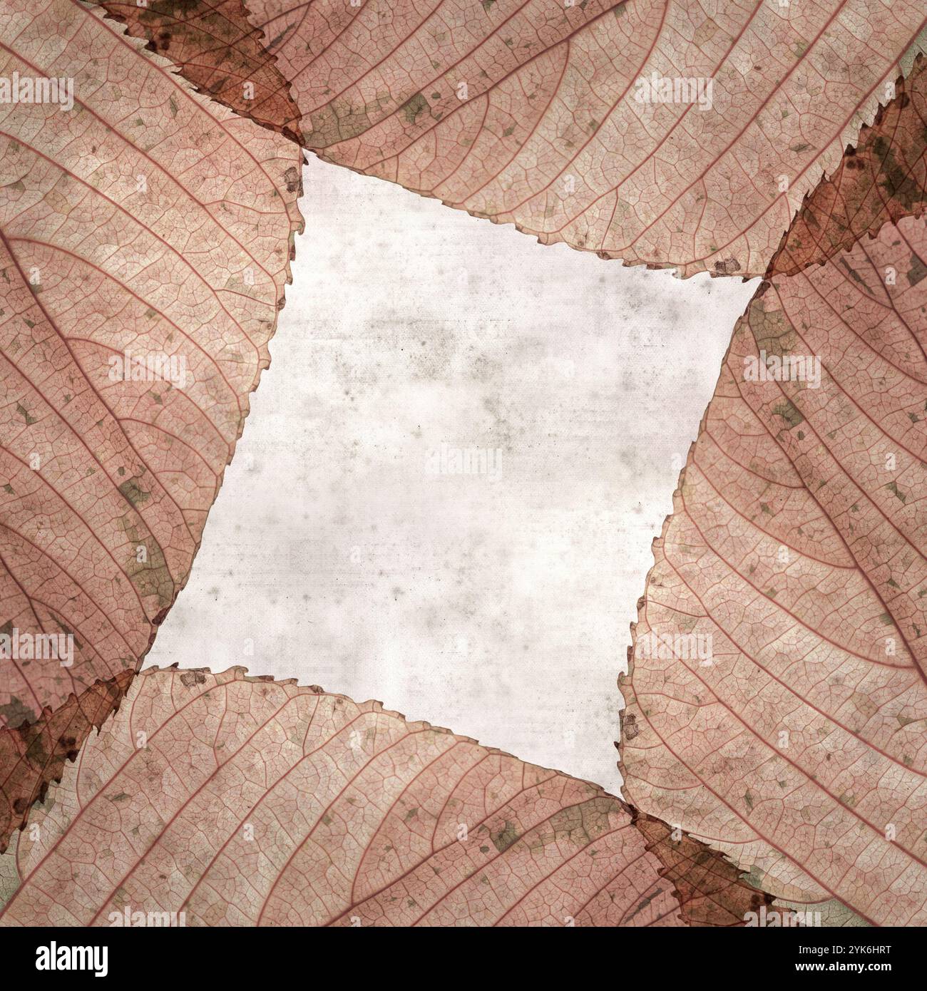 stylish square textured old paper background with Colorful leaf of ...